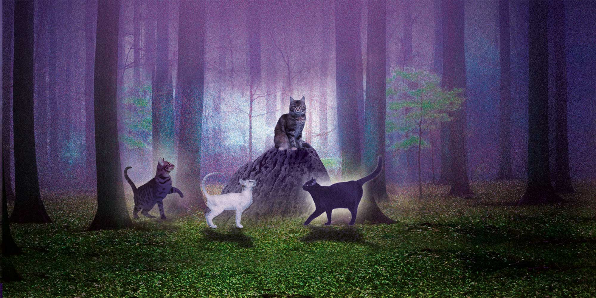 Quiz: Wer gehört zu welchem Clan? » Warrior Cats